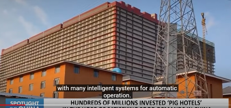 Rise of 26-storey pig farm “terrify” pigs in China - Business Insights News